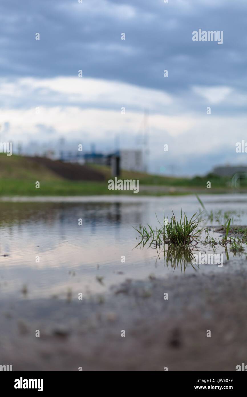 A vertical shot of a puddle on the muddy ground in Japan in a blurred ...