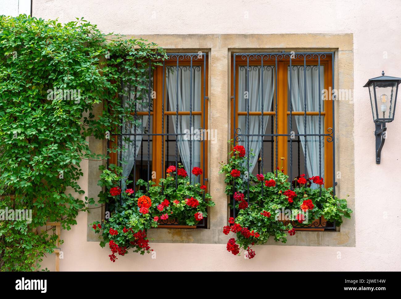 Beautiful windows with flowers. traditional German house window Stock ...