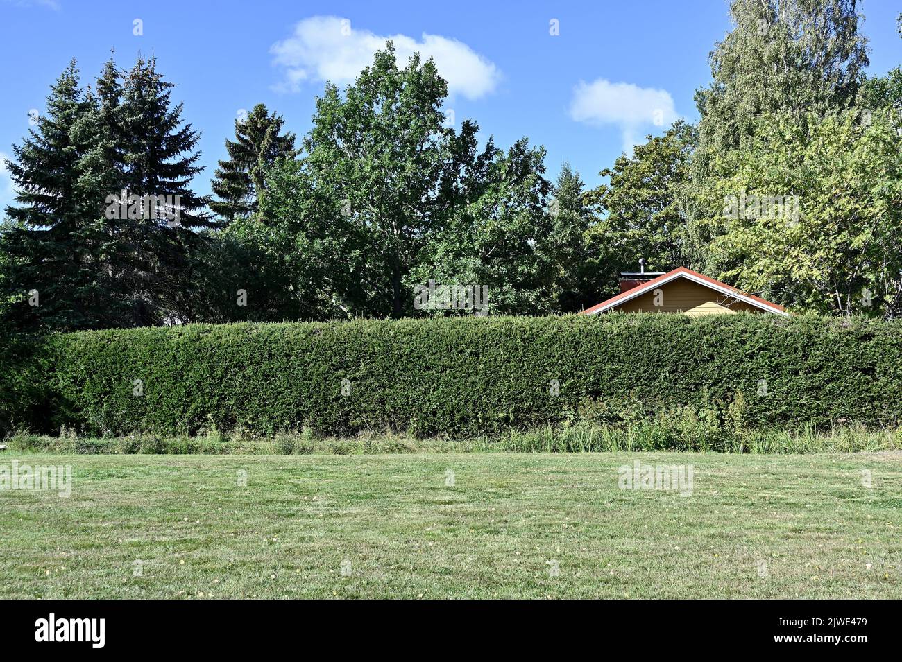 the roof of the house is visible behind the green hedge, deadpan ...