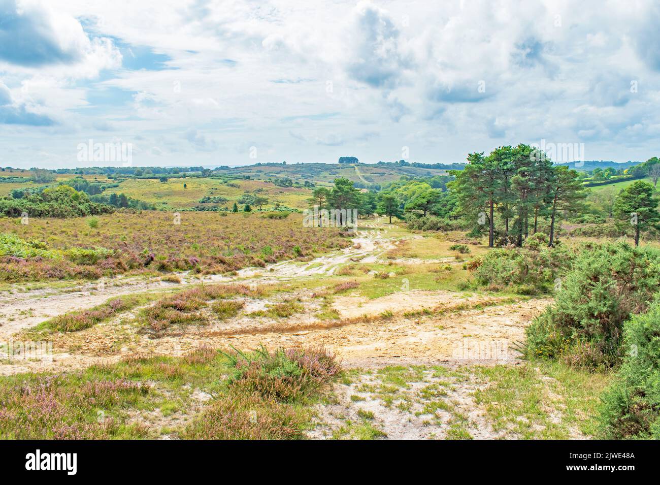 Ashdown forest view hi-res stock photography and images - Alamy