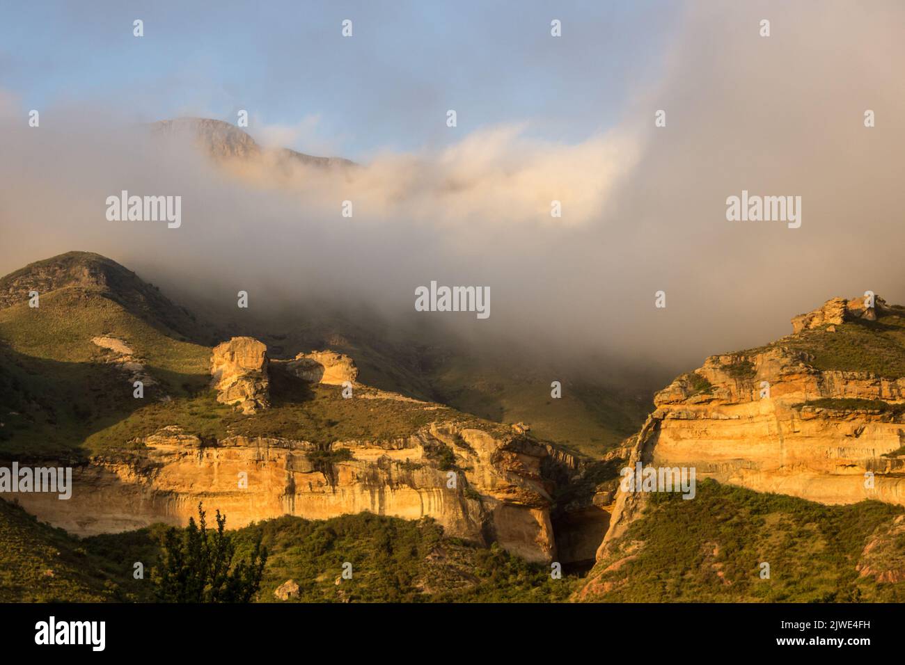 Fog shrouding the top of majestic gold colored cliffs of golden gate ...