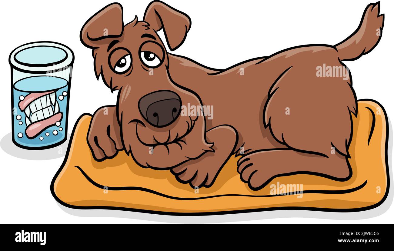 Cartoon illustration of funny senior dog animal character with dentures ...