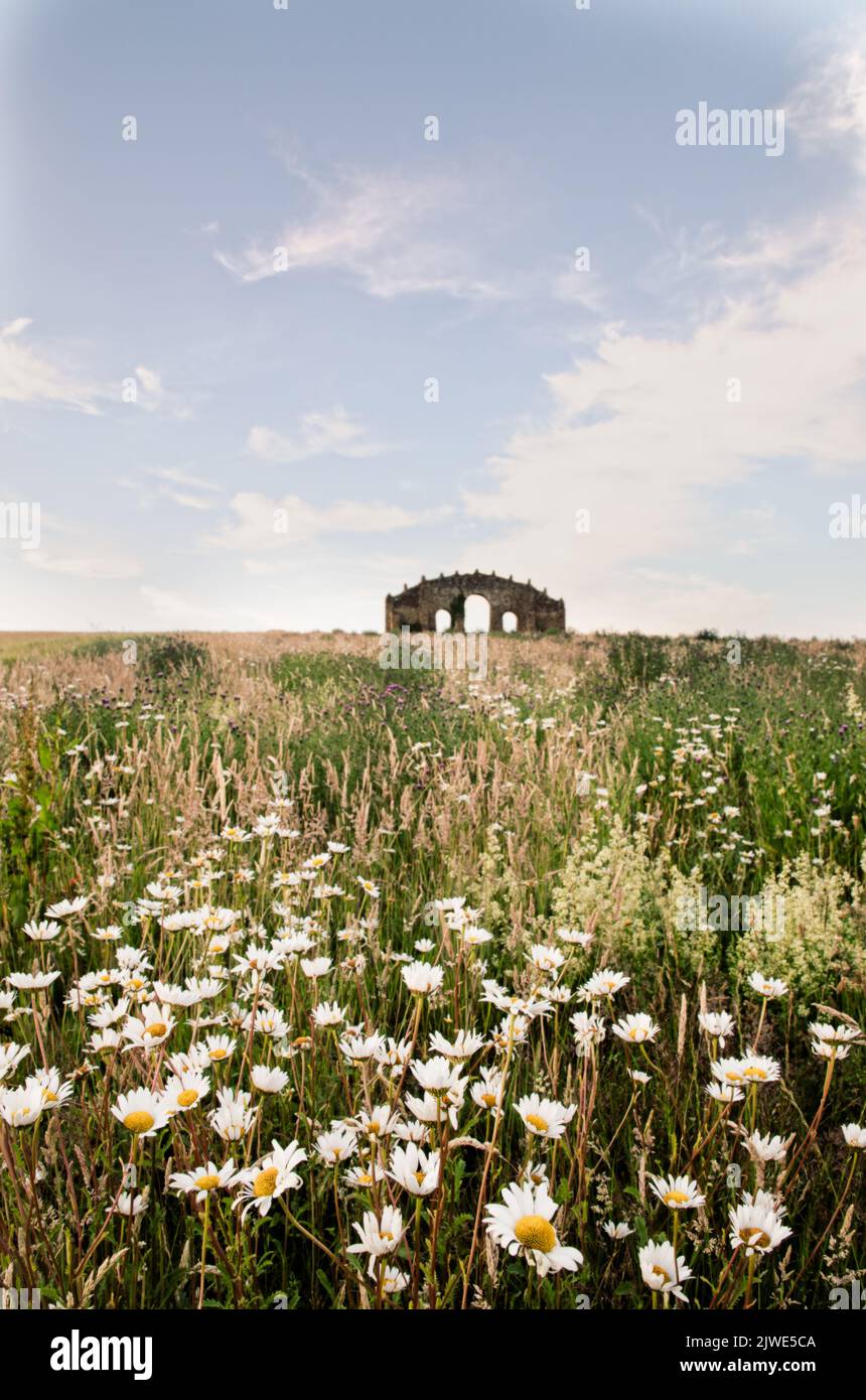 The Rouseham Eyecatcher folly ( faux ruin ) in the middle of a field in ...