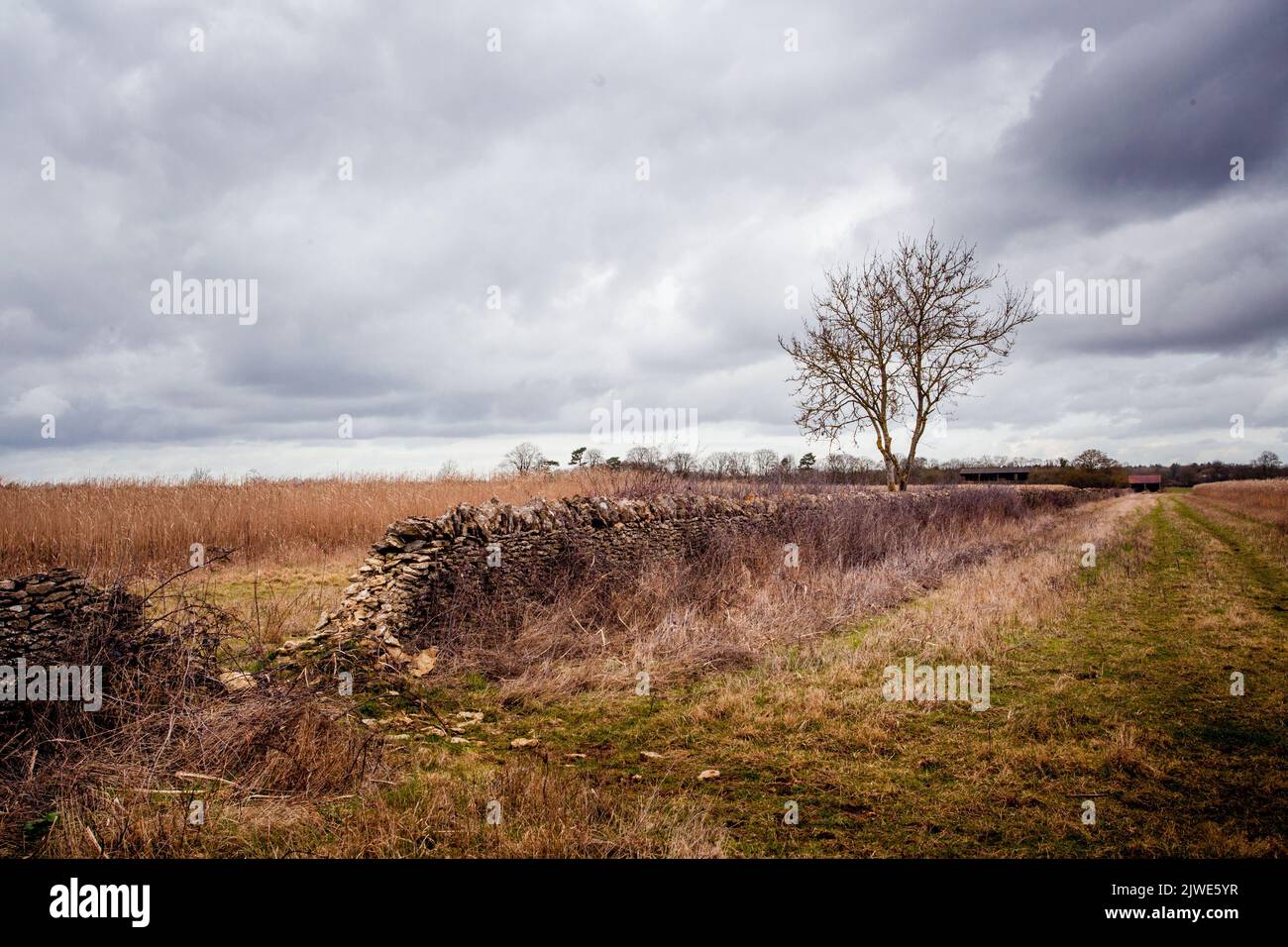 The beautiful rural Oxfordshire countryside. March 2017 Stock Photo - Alamy