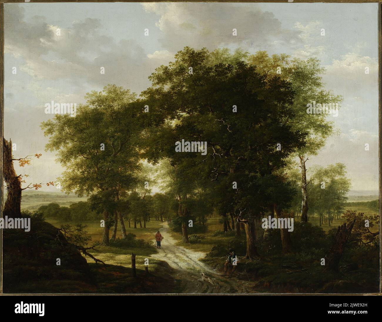 Forest landscape. Żwan, Kazimierz (1792-1858), painter Stock Photo - Alamy
