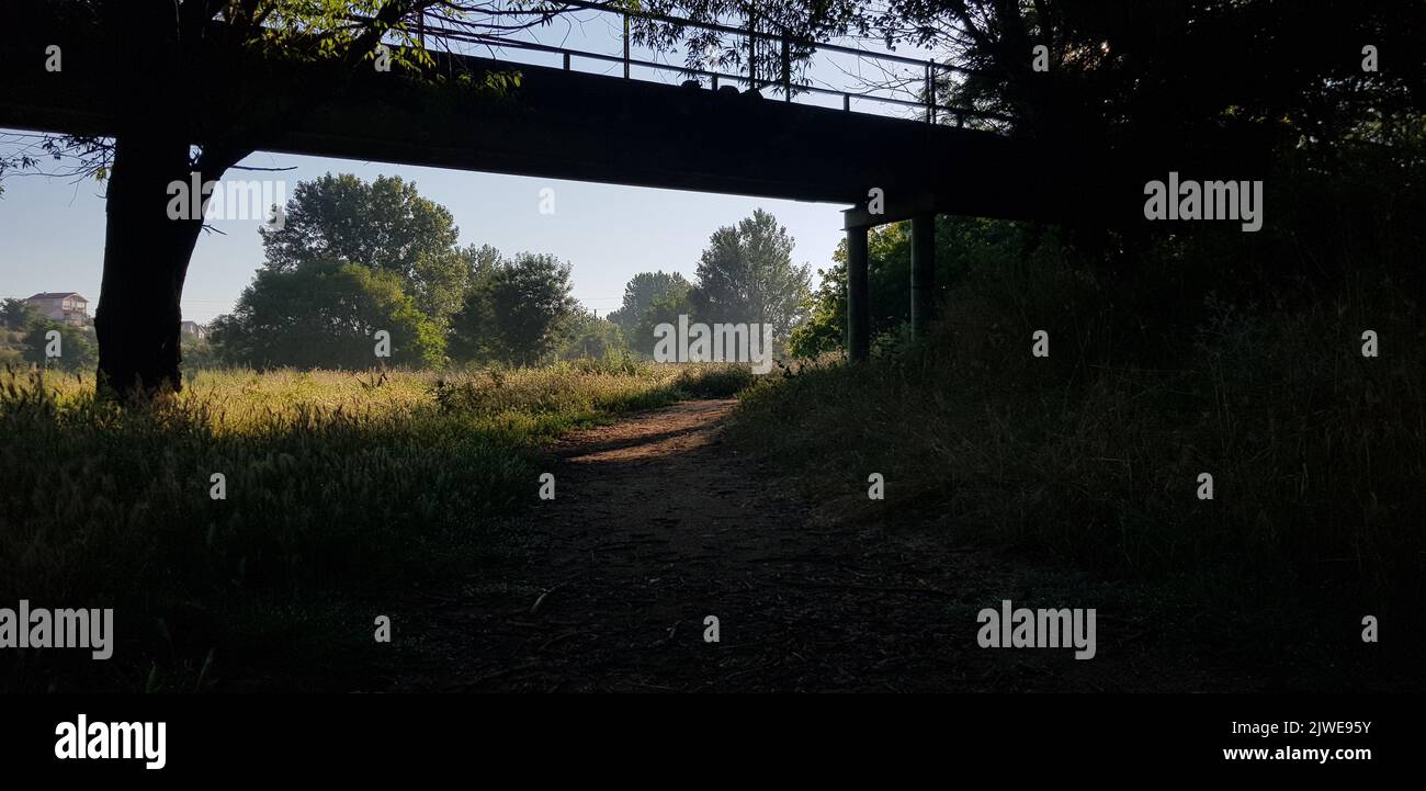 a path under a bridge in nature. Half light and half shadow Stock Photo ...