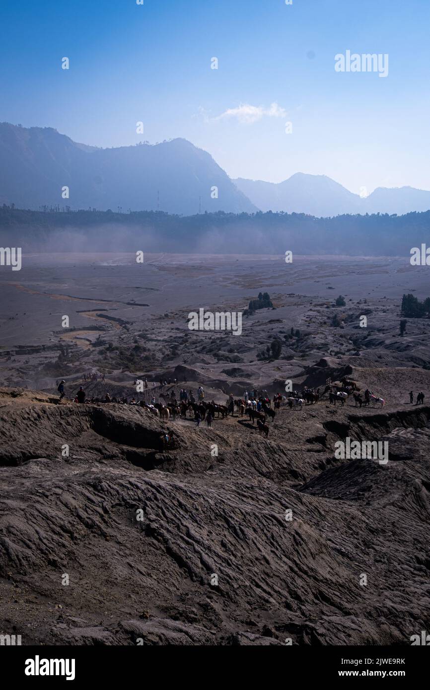 Indonesia tengger people bromo horse hi-res stock photography and ...