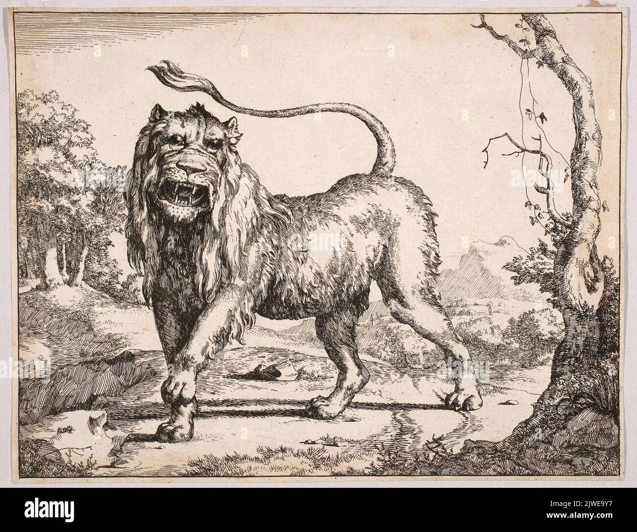 Roaring lion. Bye, Marcus de (1639-ca 1688), graphic artist, Potter ...