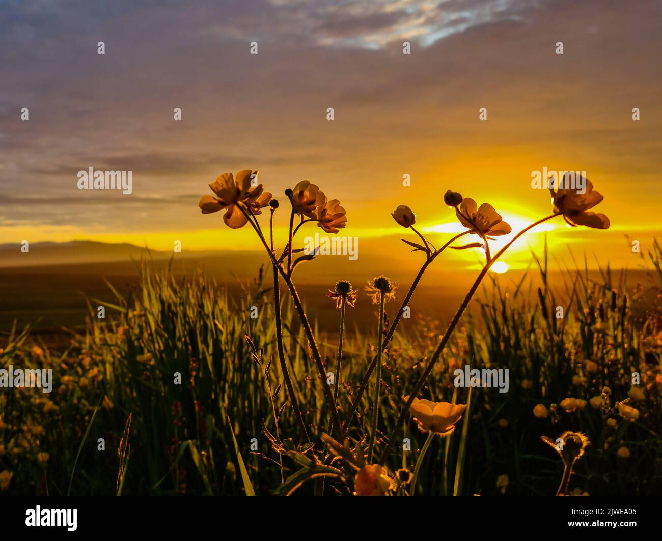 Sunset in iceeland Stock Photo - Alamy