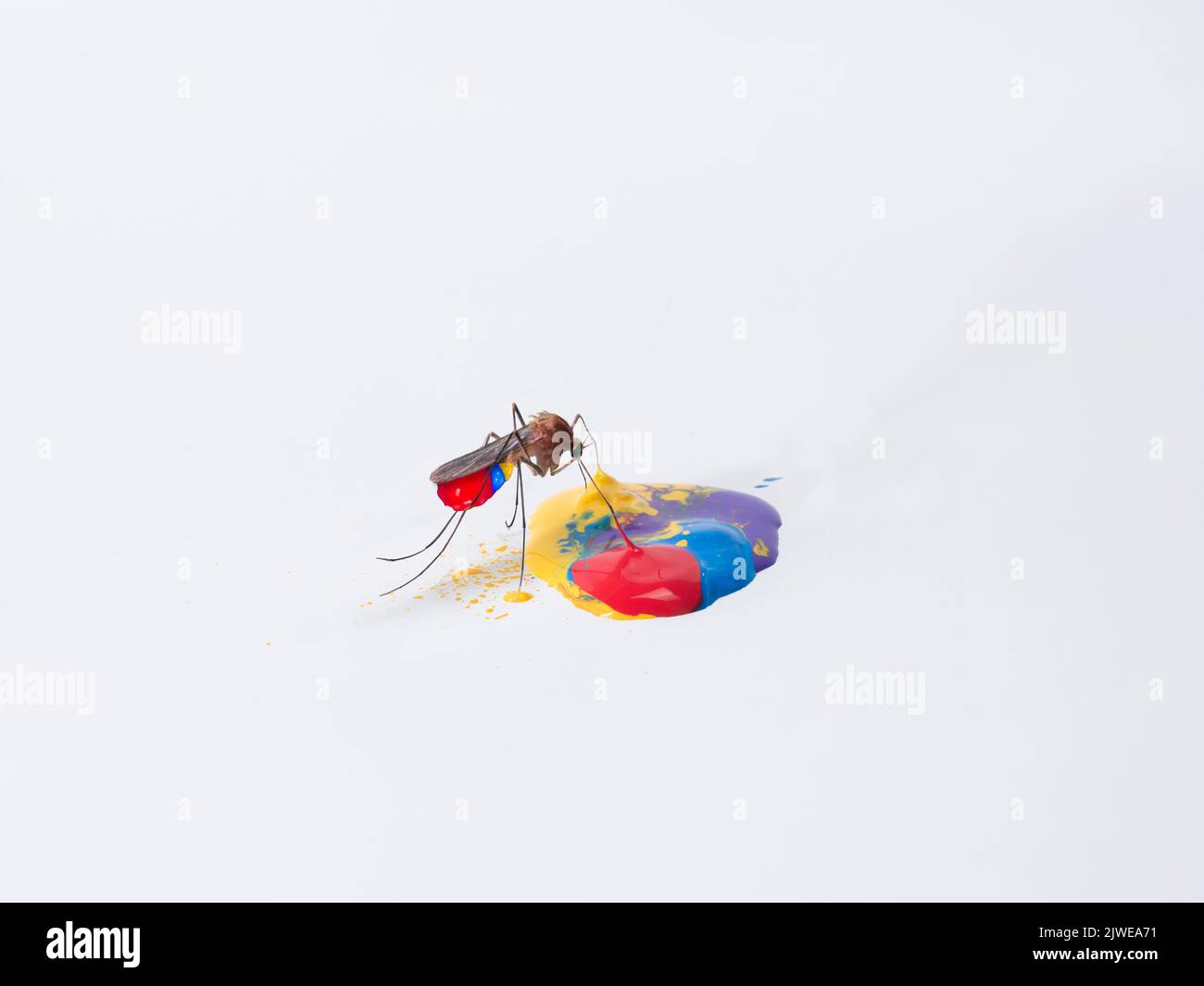 Insect feeding hi-res stock photography and images - Alamy