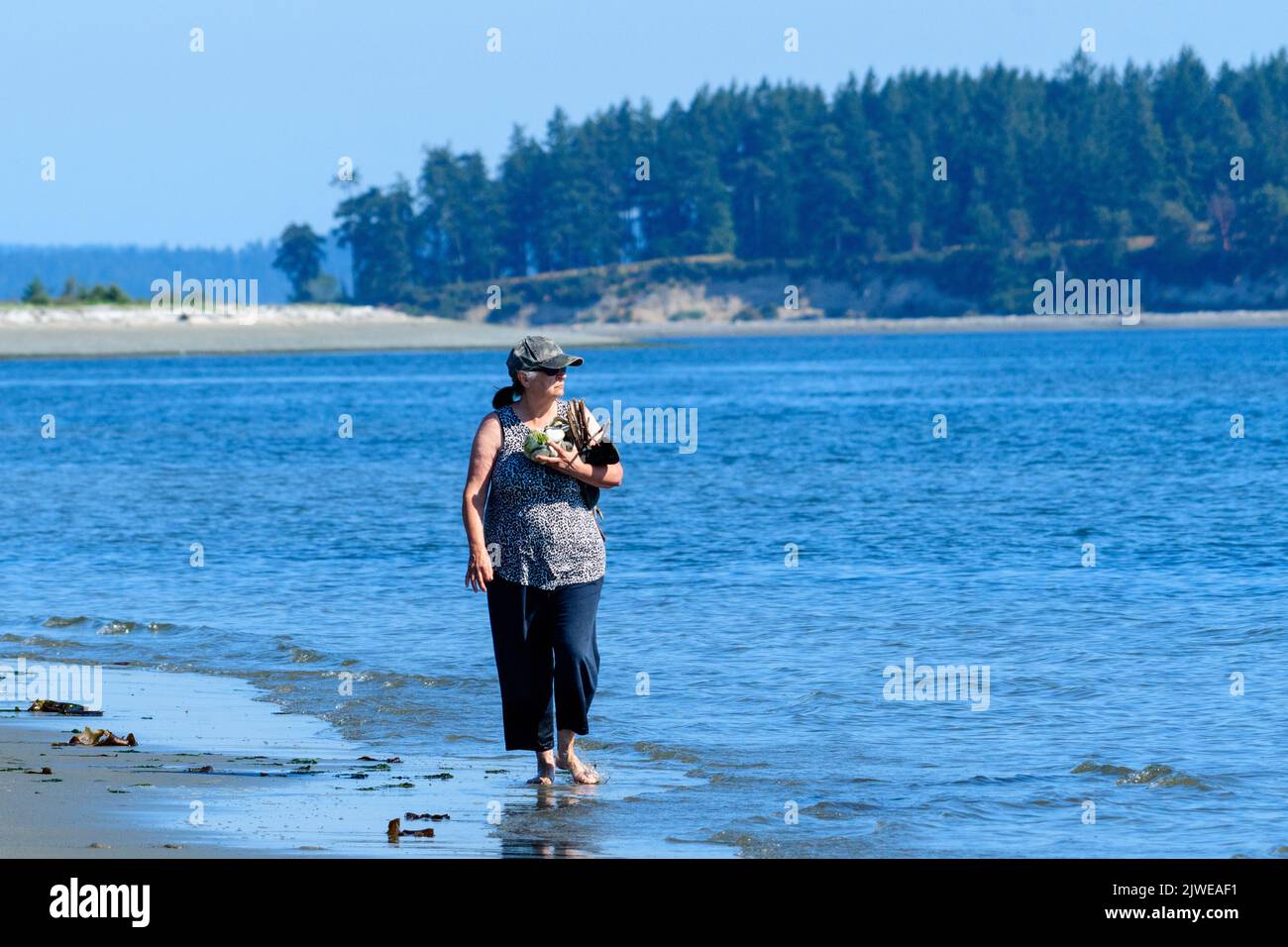Mature woman walking along beach collecting seashells and driftwood ...