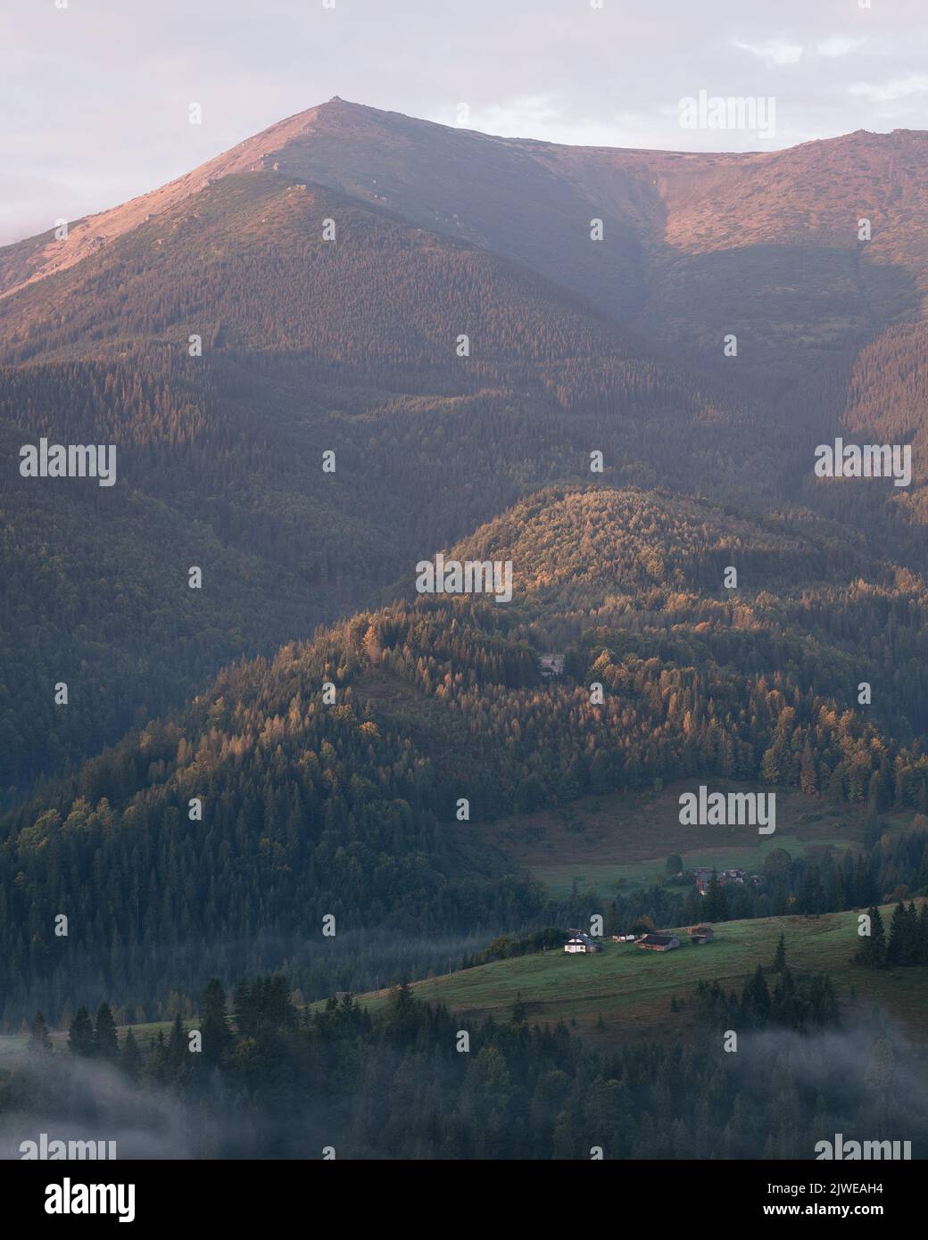 Autumn morning landscape with a view of the mountain top, wooded slopes ...