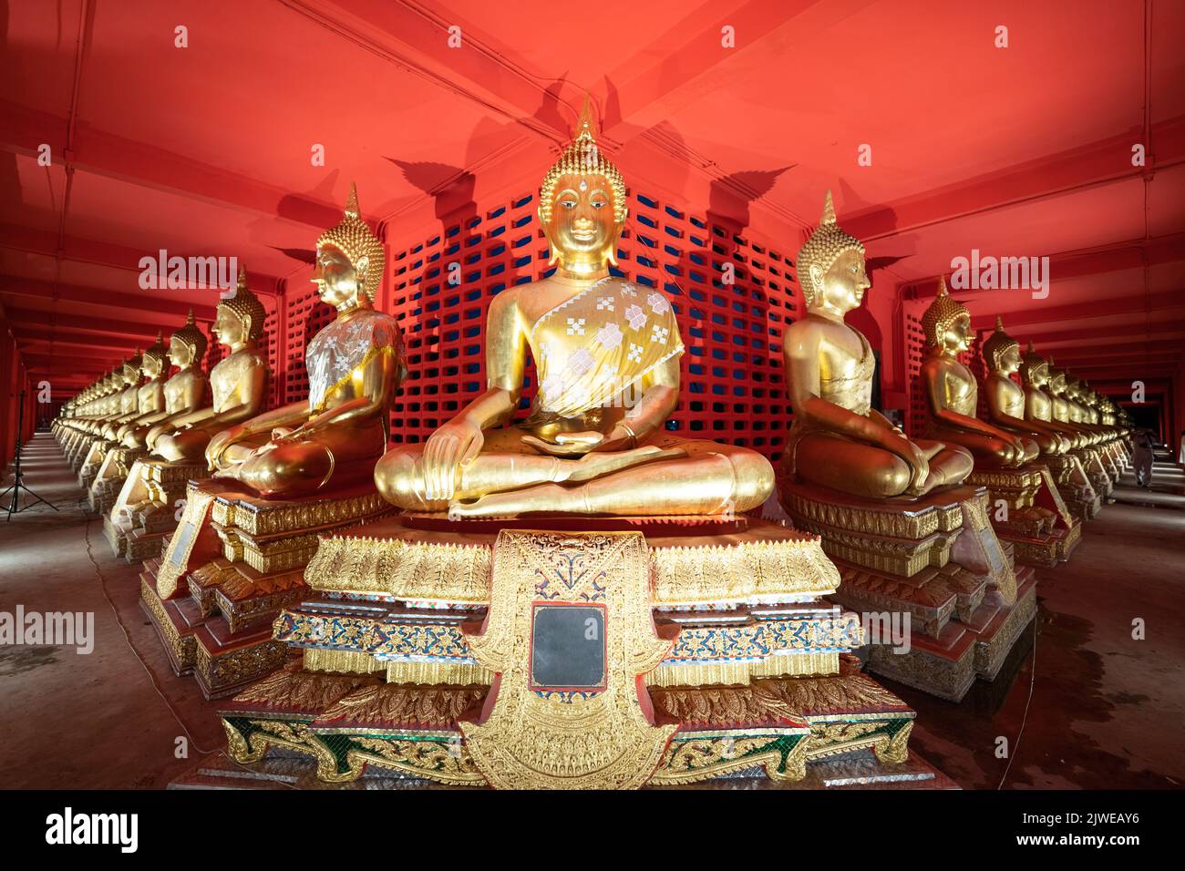 Several golden statues of Buddha statues in meditation posture are ...