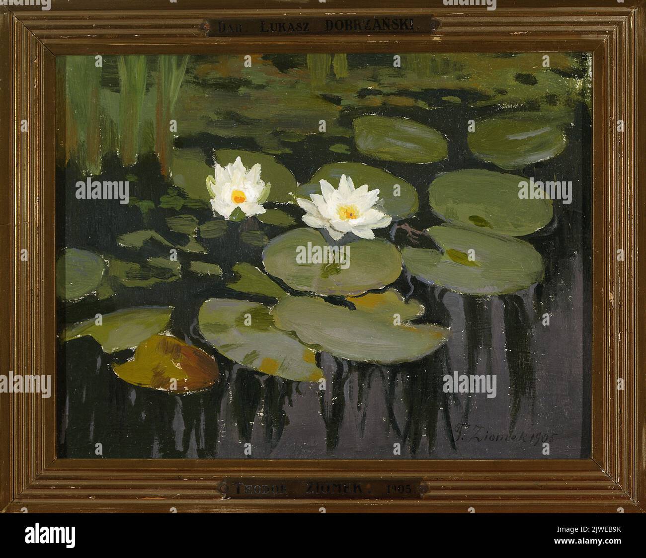 Teodor ziomek hi-res stock photography and images - Alamy