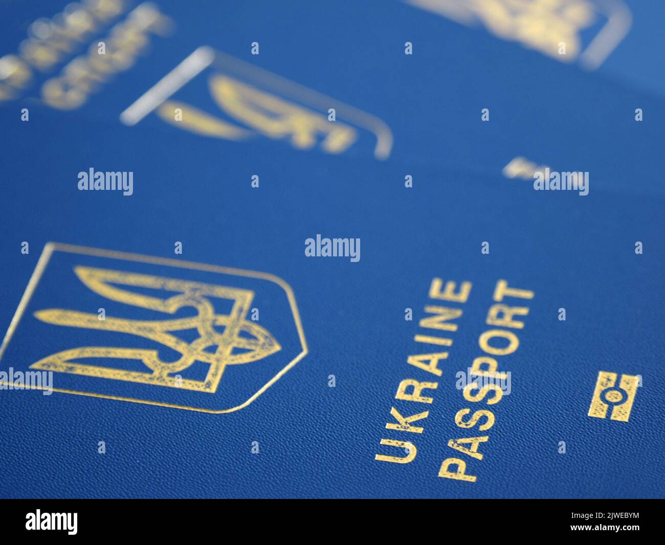 Ukrainian biometric passport ids hi-res stock photography and images ...