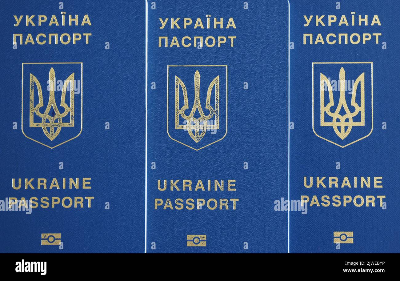 Ukrainian biometric passport ids hi-res stock photography and images ...