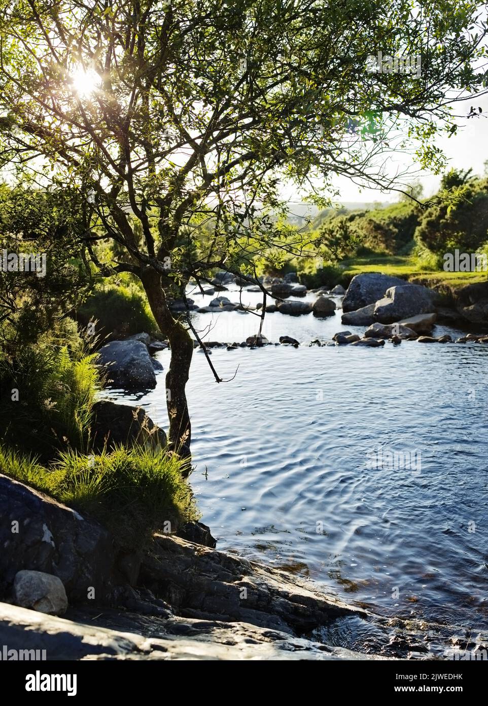 the west okement river on dartmoor, devon, UK Stock Photo - Alamy