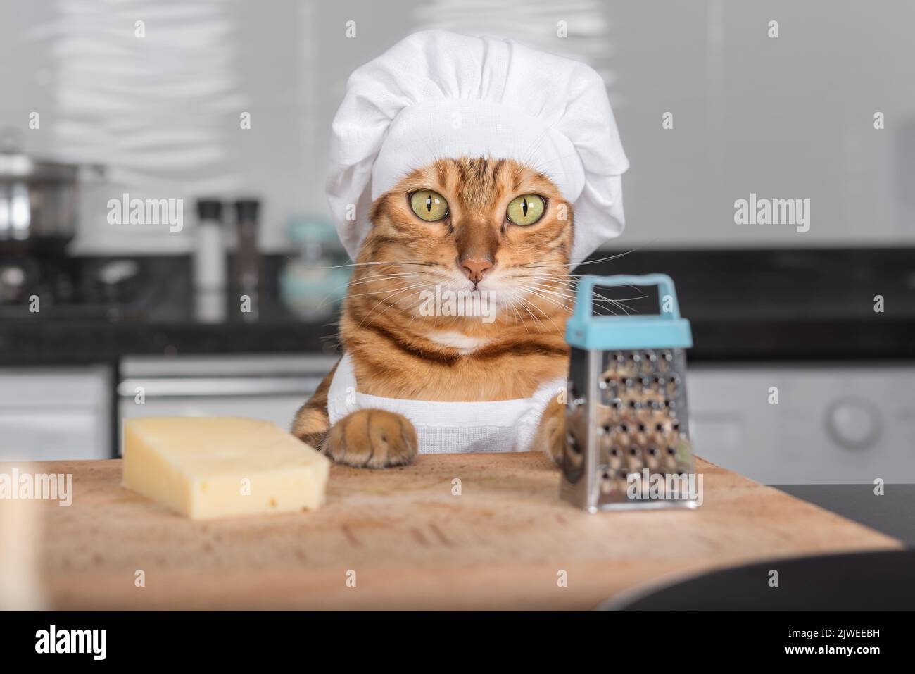 Cheese hat hi-res stock photography and images - Alamy
