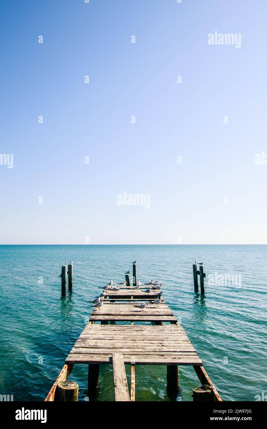 A vertical of a dock in an ocean in Southern Belize Stock Photo - Alamy