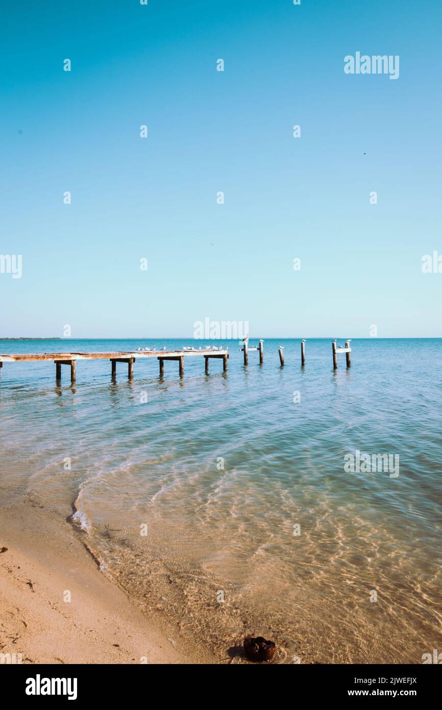 A vertical of a beach and a dock in Southern Belize Stock Photo - Alamy