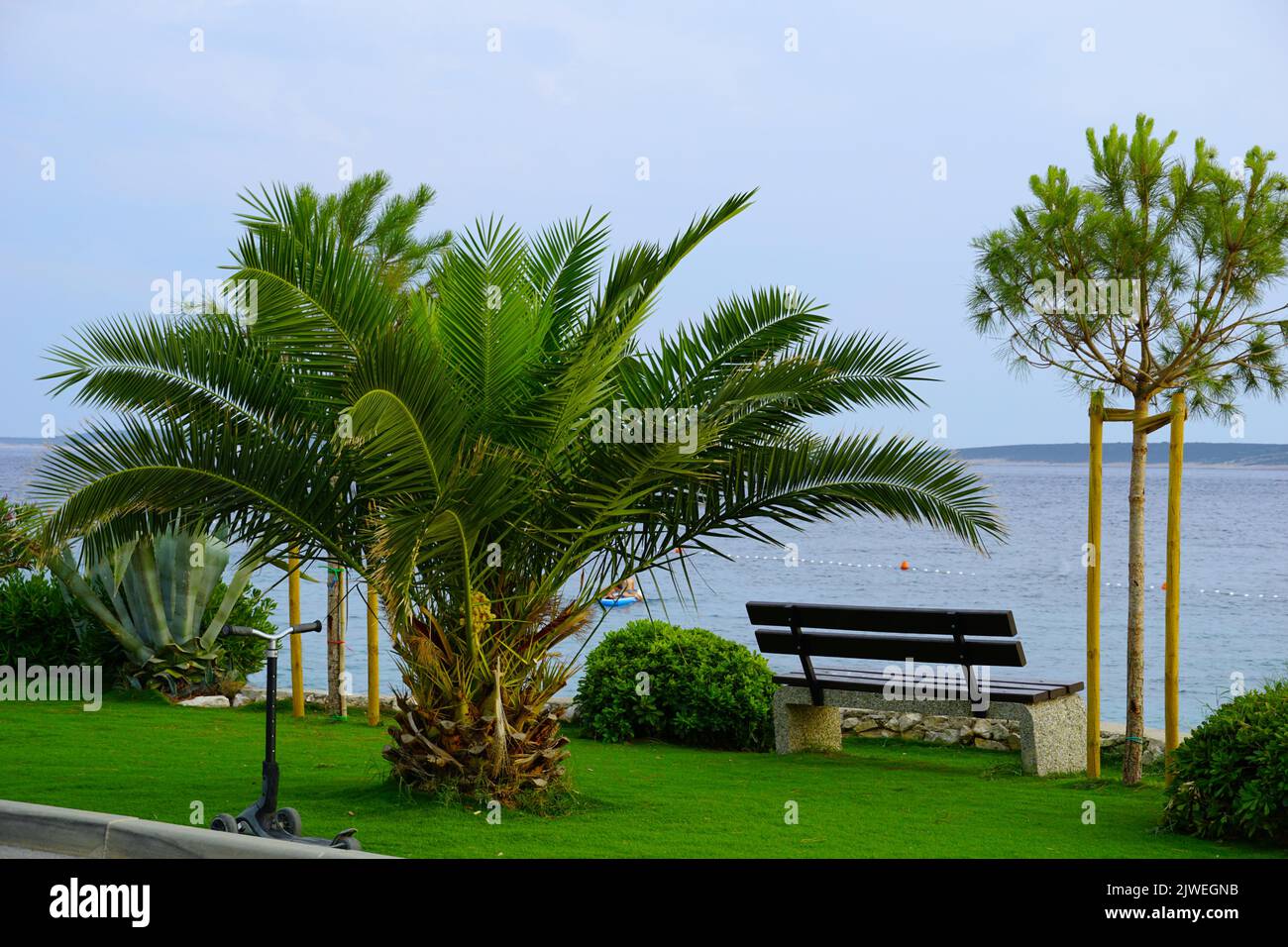 Second summer vacation concept with green palm and bench for relaxing ...