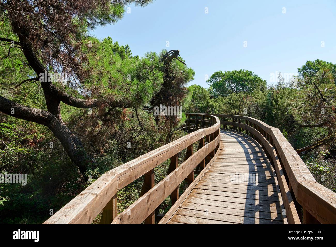 Rosolina (Ro), Italy, the touriste route of the Coastal Botanical ...