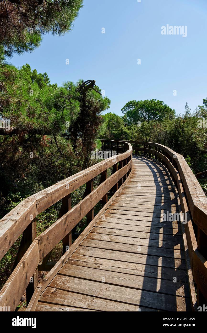 Rosolina (Ro), Italy, the touriste route of the Coastal Botanical ...