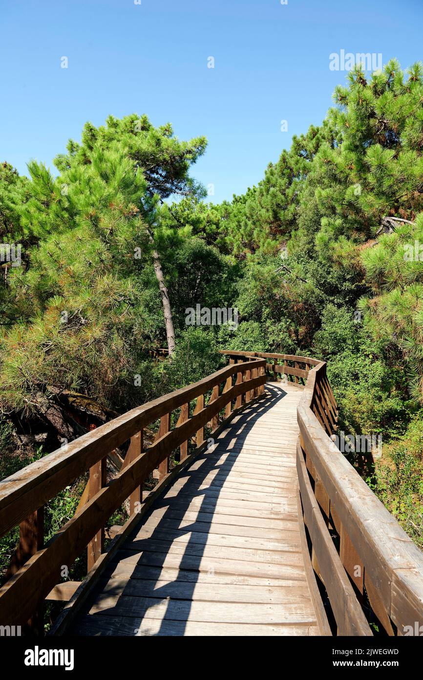 Rosolina (Ro), Italy, the touriste route of the Coastal Botanical ...
