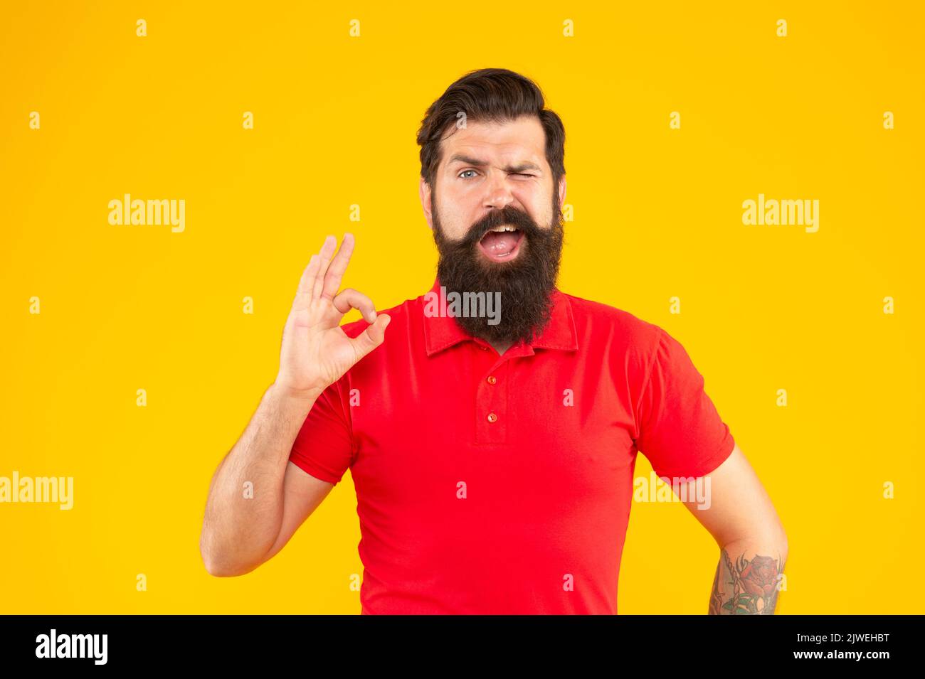 winking guy with beard and hairstyle showing ok gesture on yellow ...