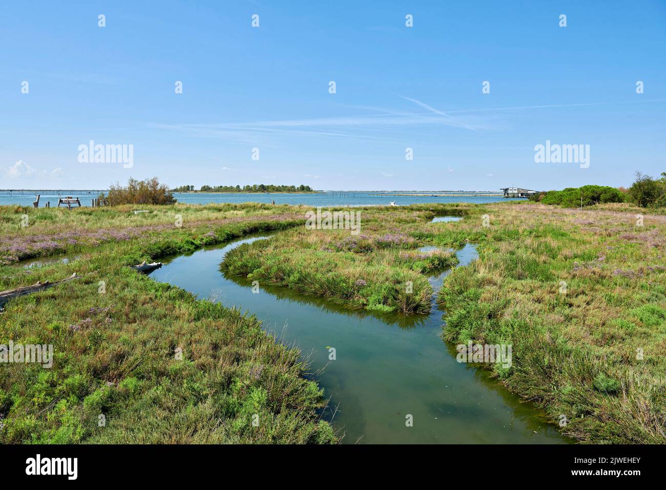 Rosolina (Ro), Italy, a view of the Coastal Botanical Garden of Porto ...