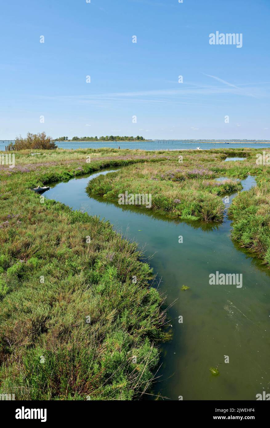 Rosolina (Ro), Italy, a view of the Coastal Botanical Garden of Porto ...