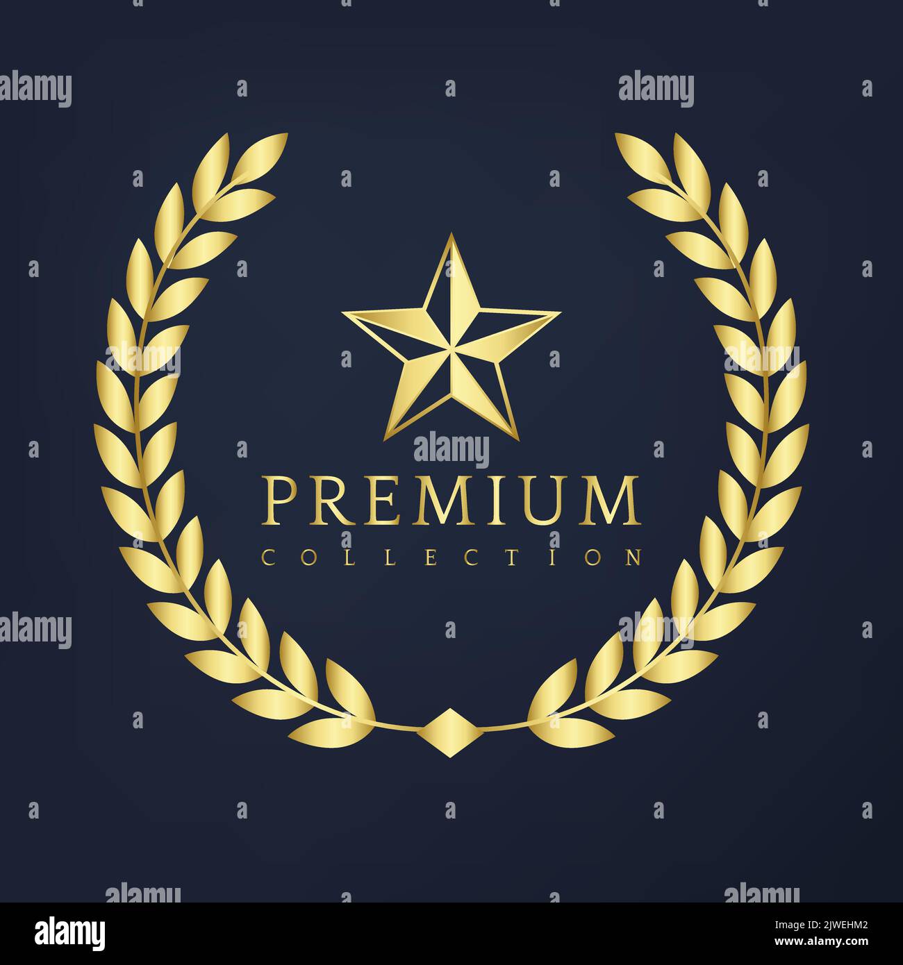 A logo of a star and editable text premium collection in the gold ...