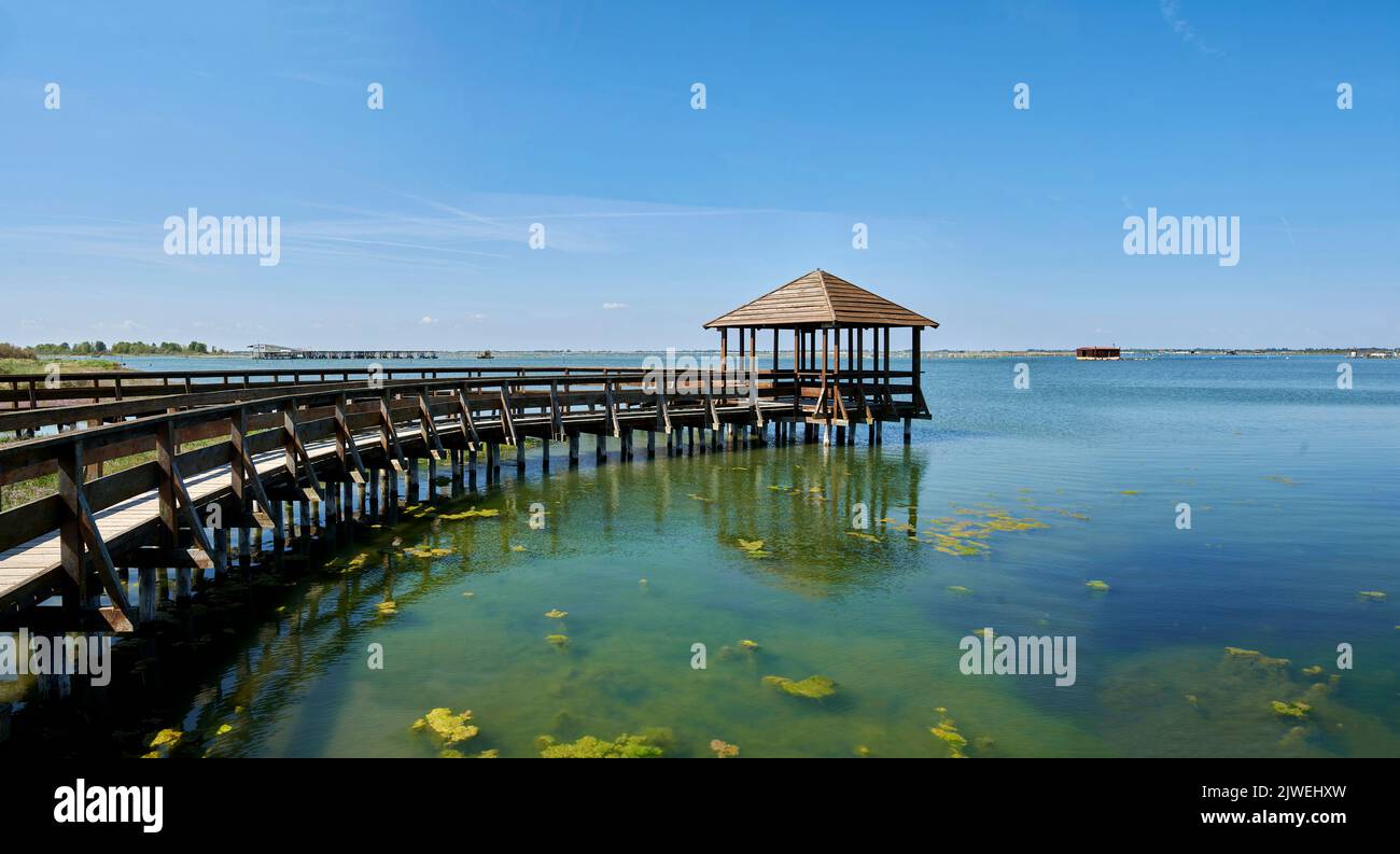 Rosolina (Ro), Italy, a view of the Coastal Botanical Garden of Porto ...