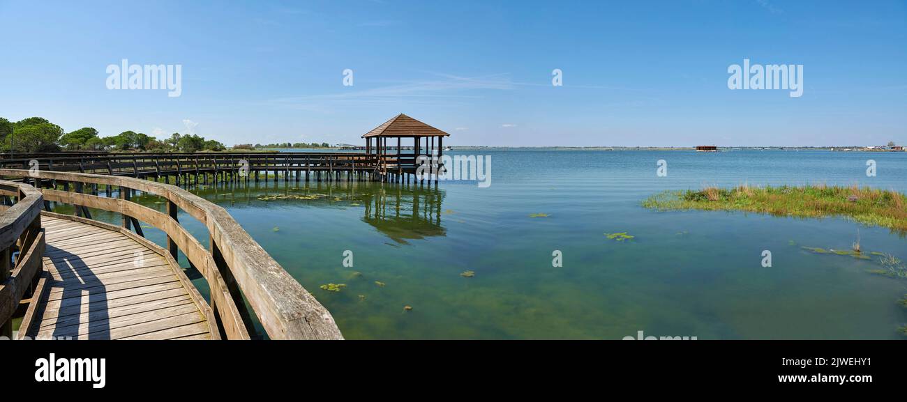 Rosolina (Ro), Italy, a view of the Coastal Botanical Garden of Porto ...