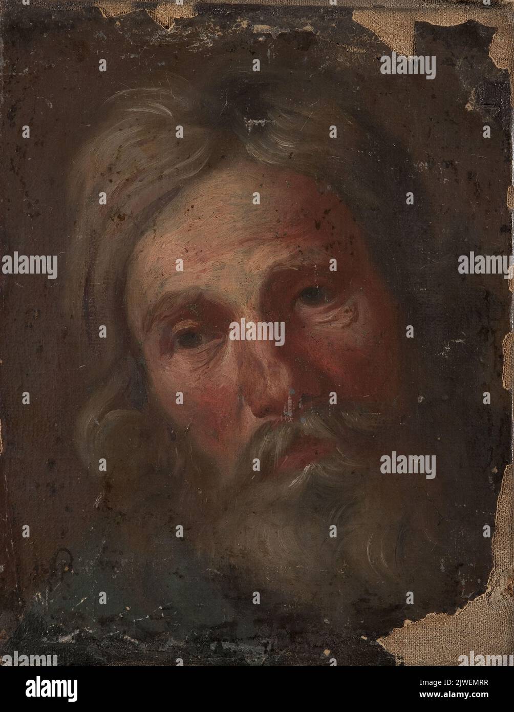 Study of an old man's head. Czechowicz, Szymon (1689-1775), painter ...