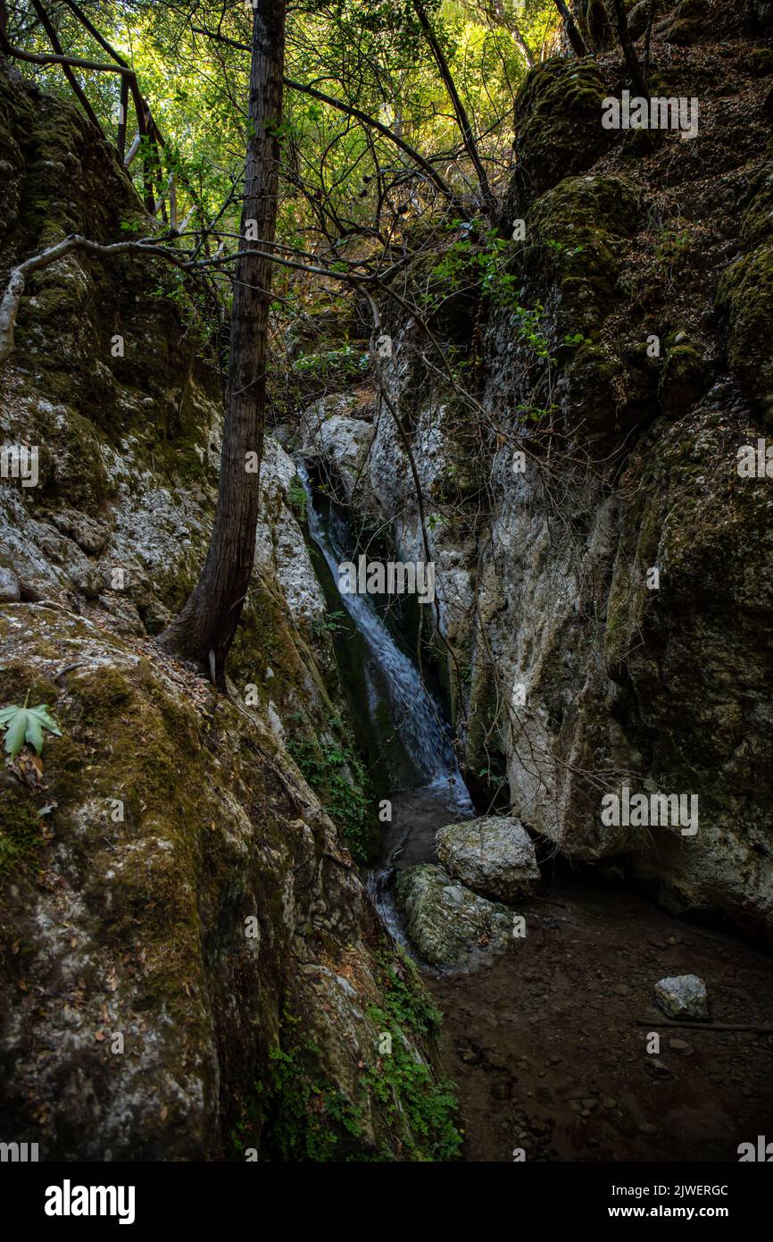Butterfly valley on Rhodes island, Greece Stock Photo - Alamy