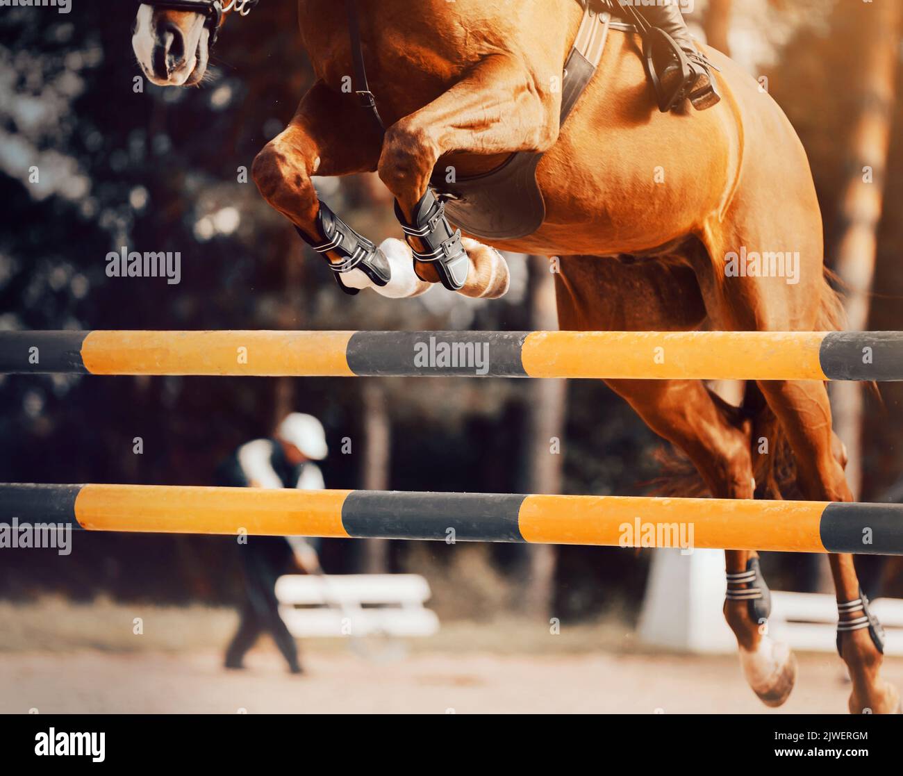 Bay horse jumping hi-res stock photography and images - Alamy
