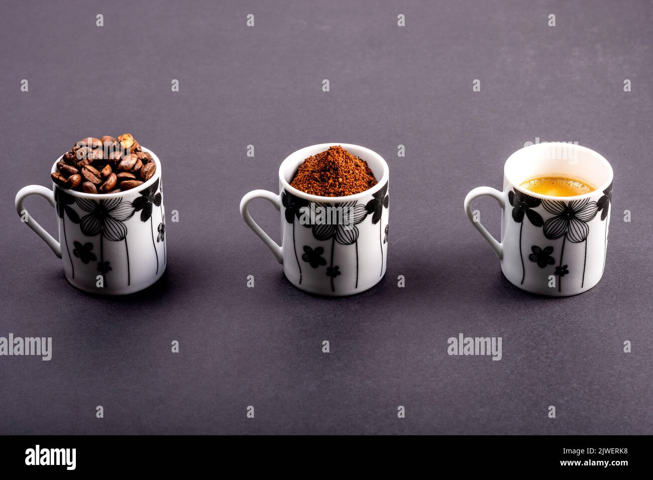 October evolution hi-res stock photography and images - Alamy