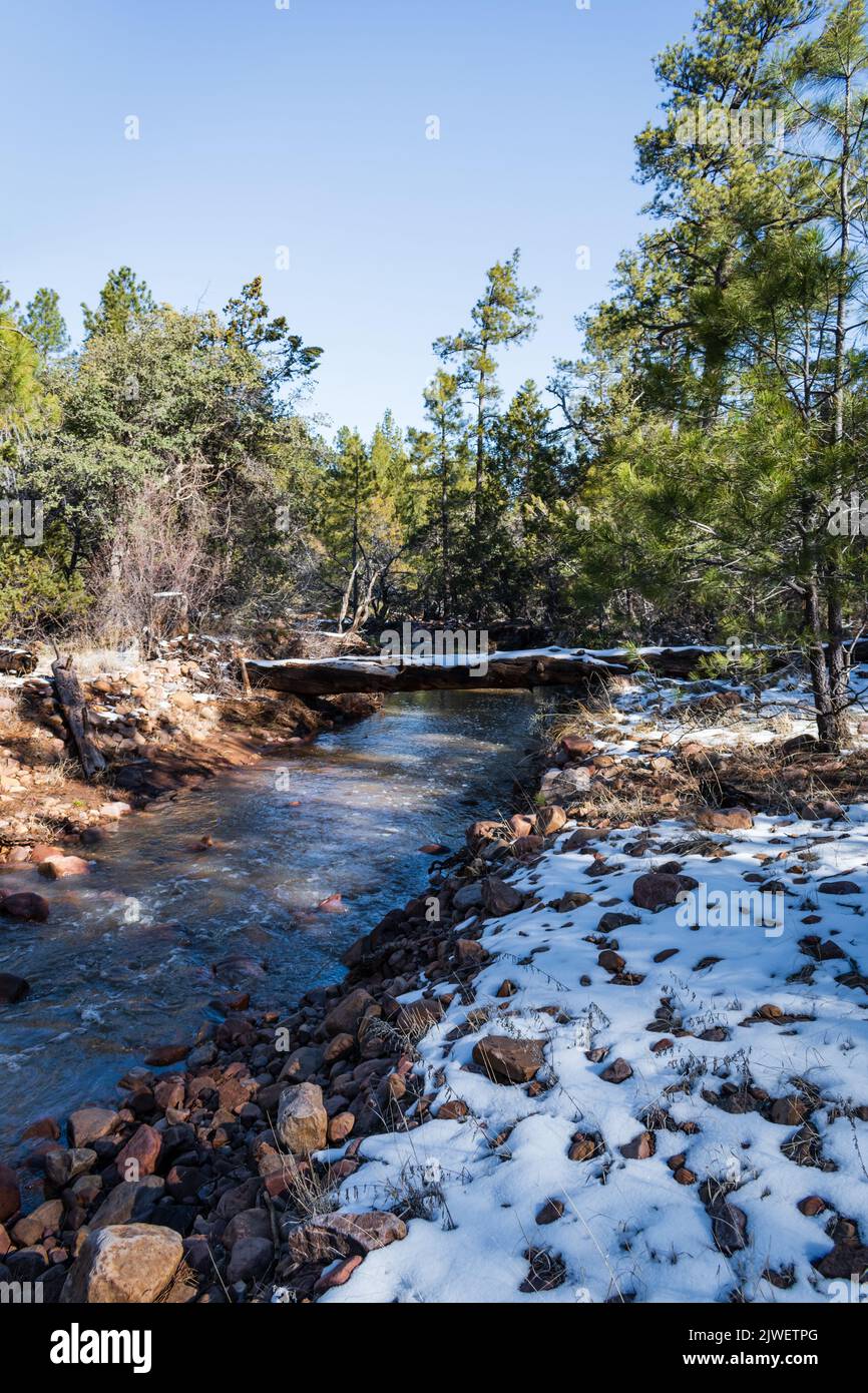Timber camp mountains hi-res stock photography and images - Alamy