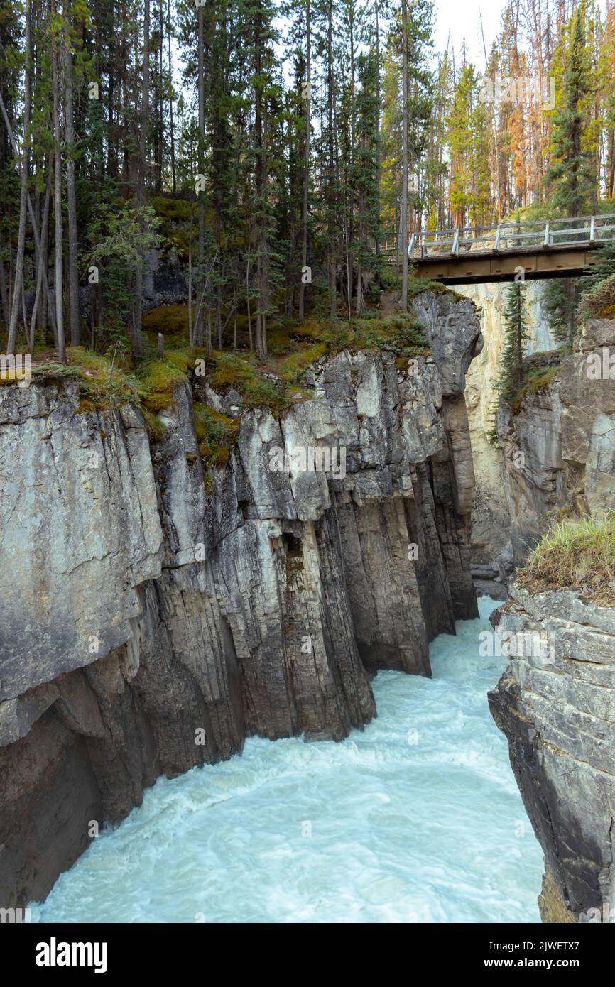 Sunwapta canyon alberta canada hi-res stock photography and images - Alamy