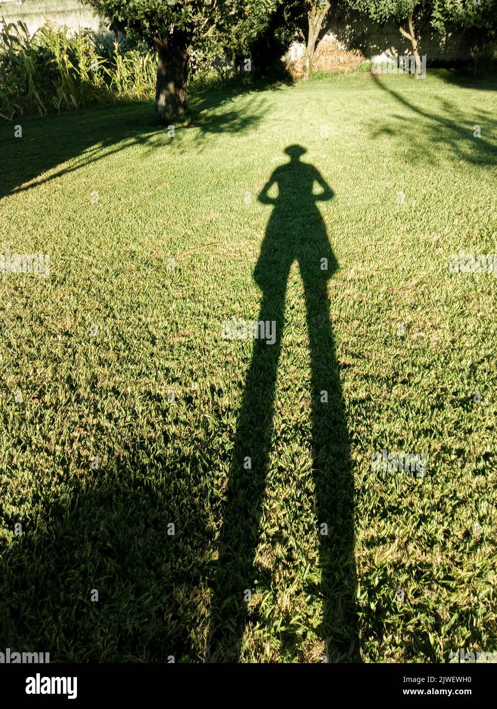 Man shadow grass hi-res stock photography and images - Alamy