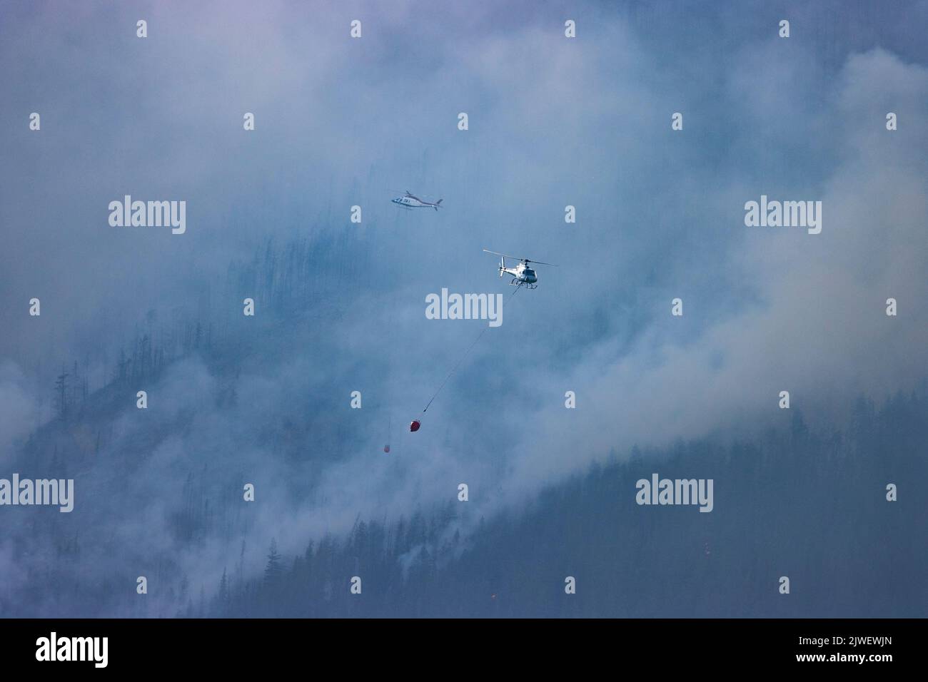 helicopter dropping water on active forest wildfire Stock Photo - Alamy