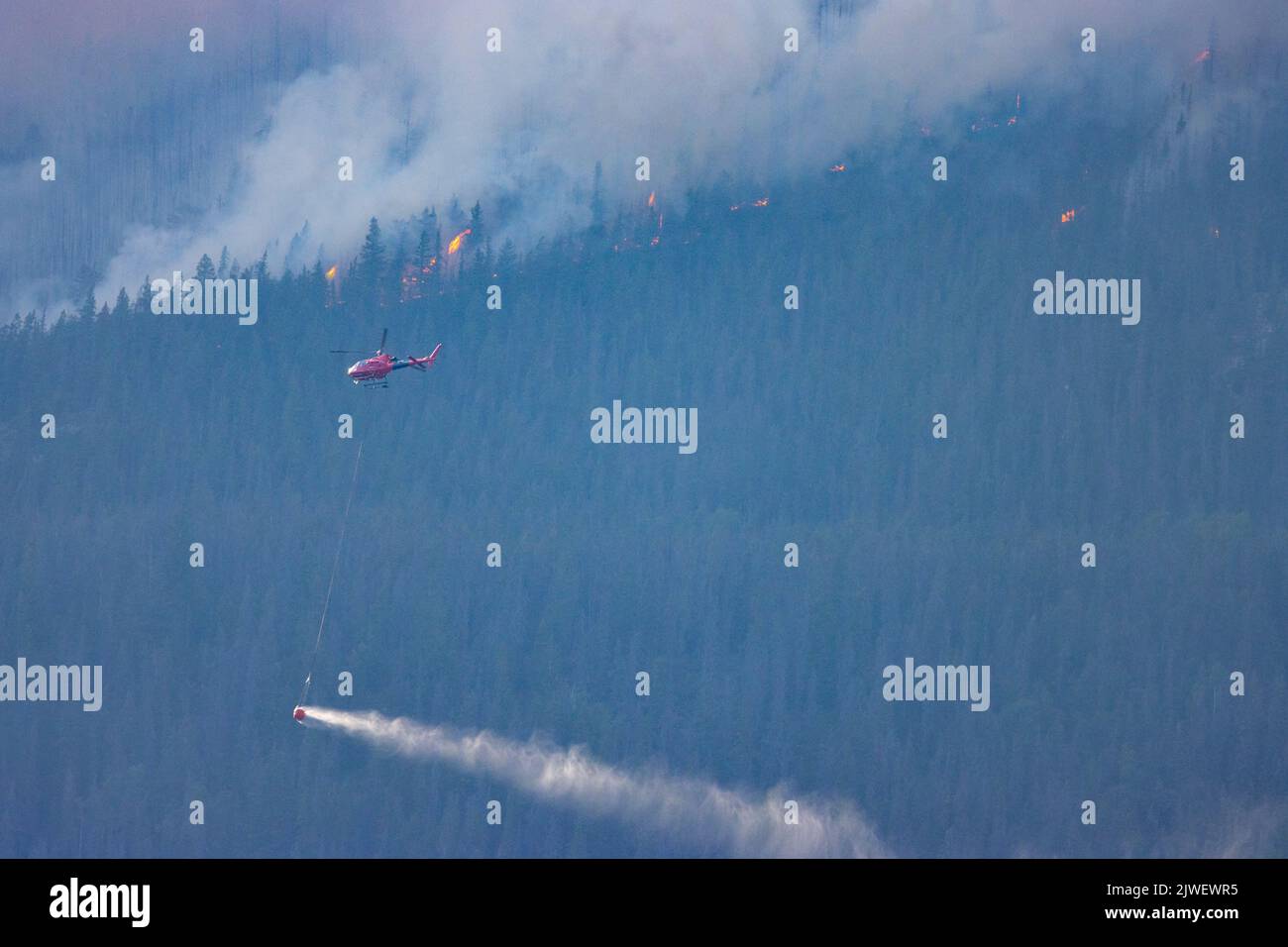 helicopter dropping water on active forest wildfire Stock Photo - Alamy