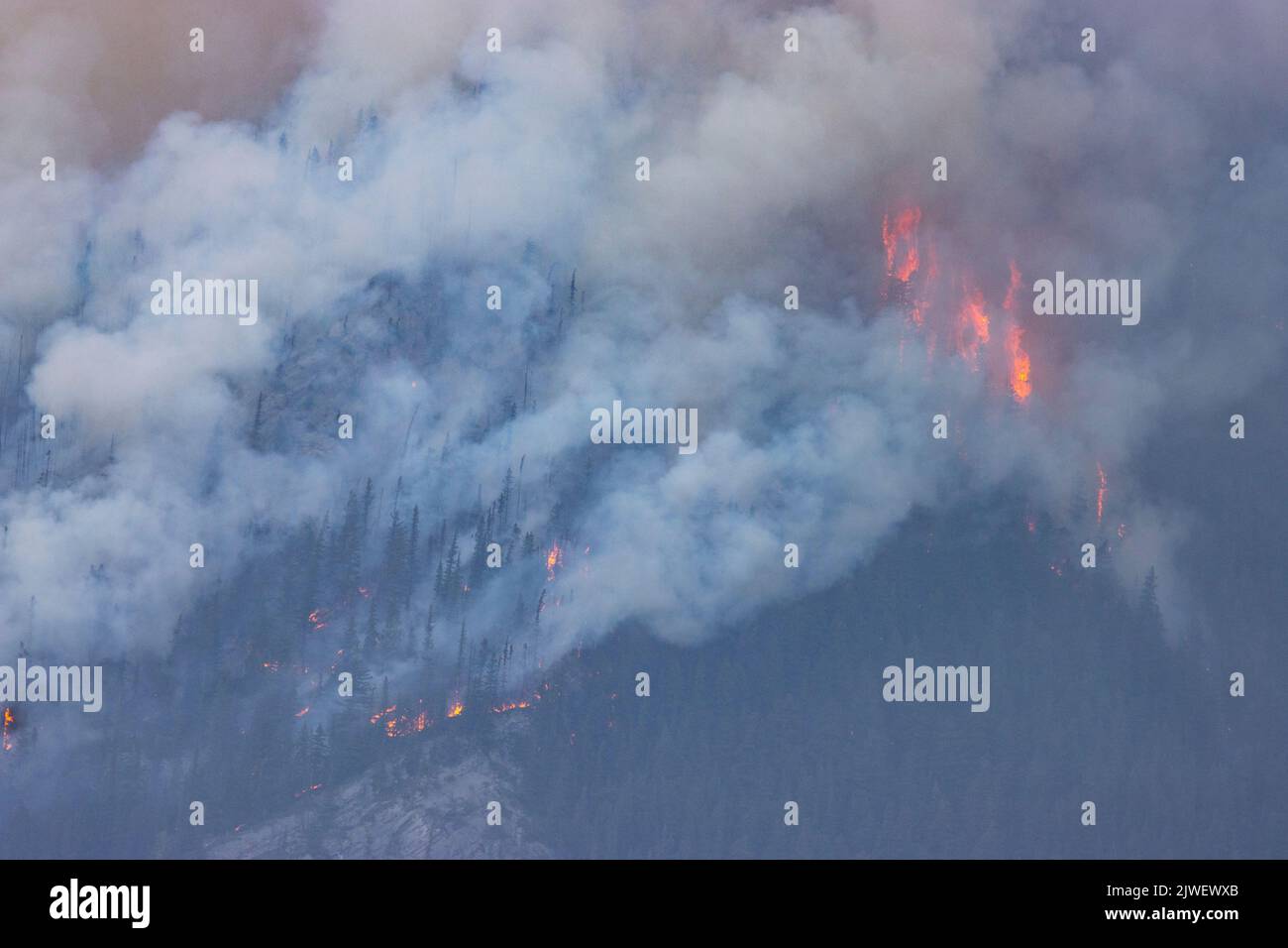 raging wildfire in the mountains, smoke billowing Stock Photo - Alamy