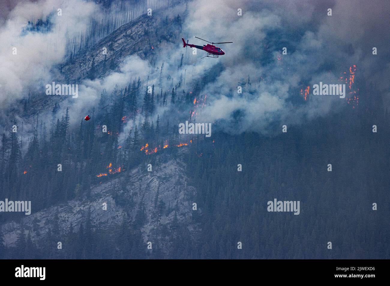 helicopter dropping water on active forest wildfire Stock Photo - Alamy