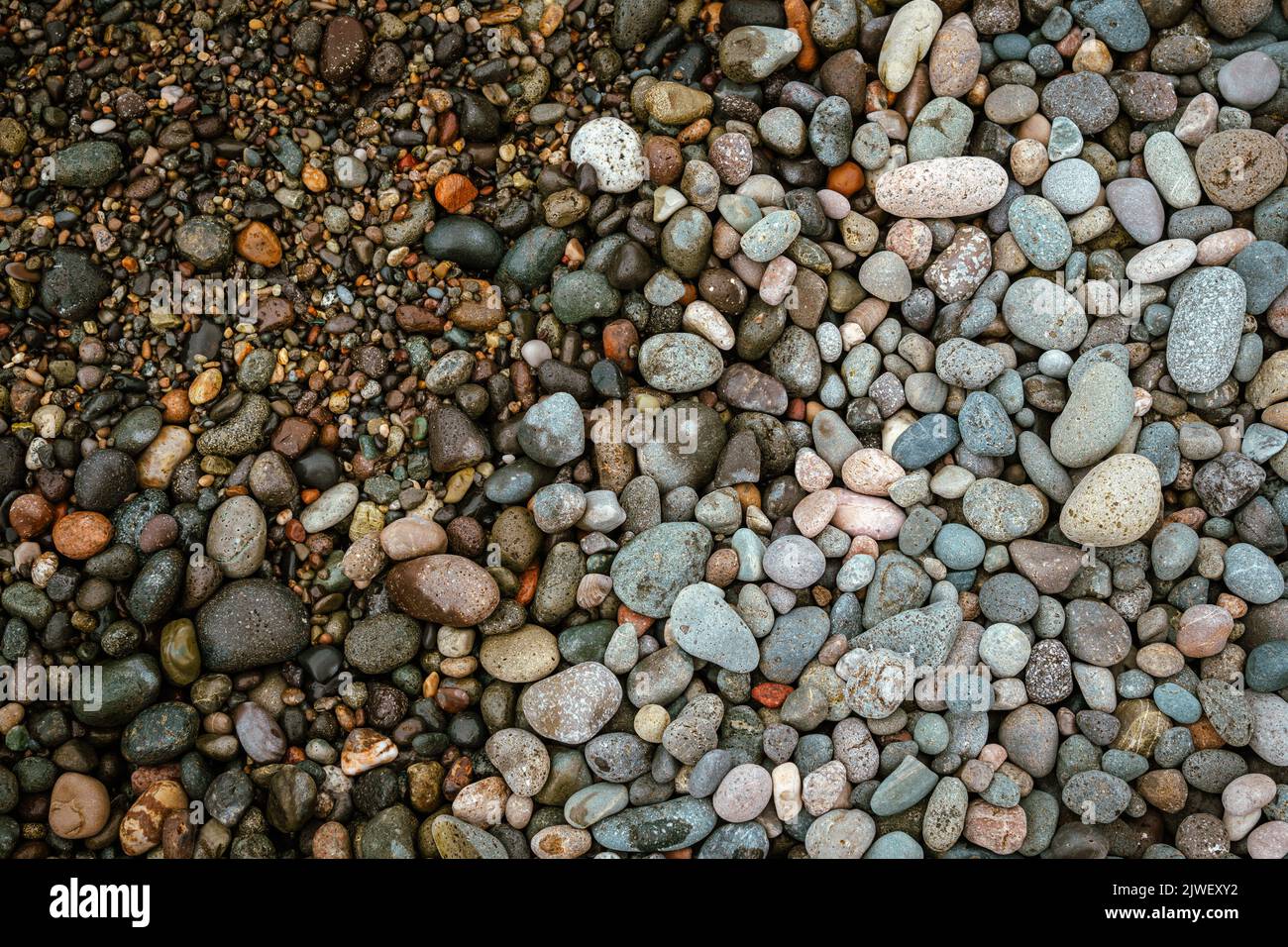 Pebble beach stones background, natural rounded gravel on the seashore ...