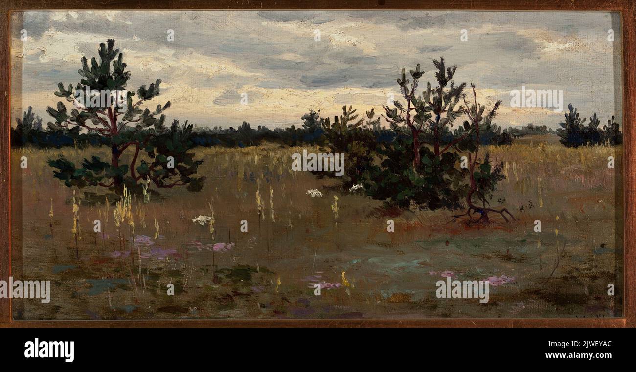 Clearing with pine trees. Stanisławski, Jan (1860-1907), painter Stock ...