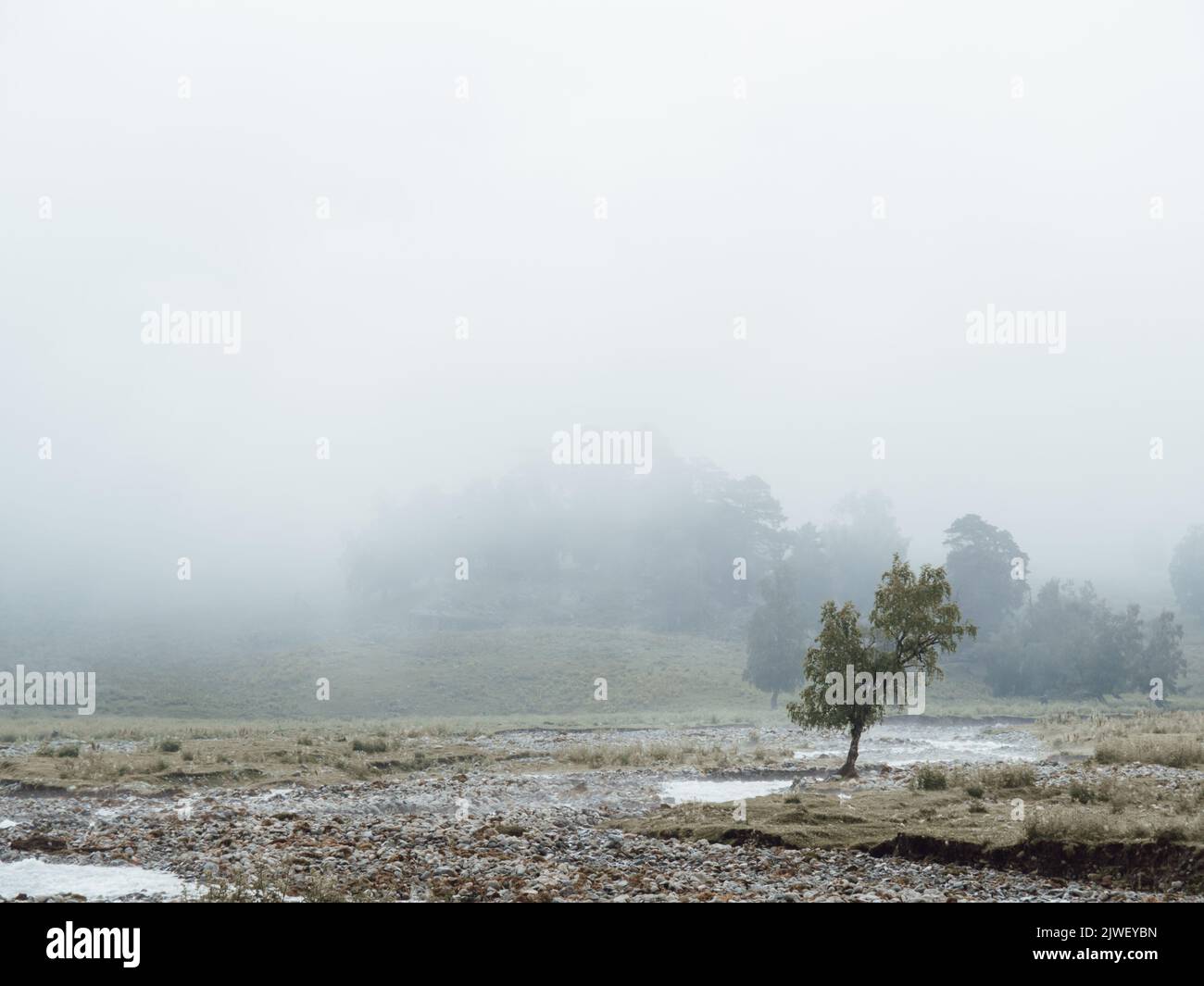 Alone fog one single hi-res stock photography and images - Alamy