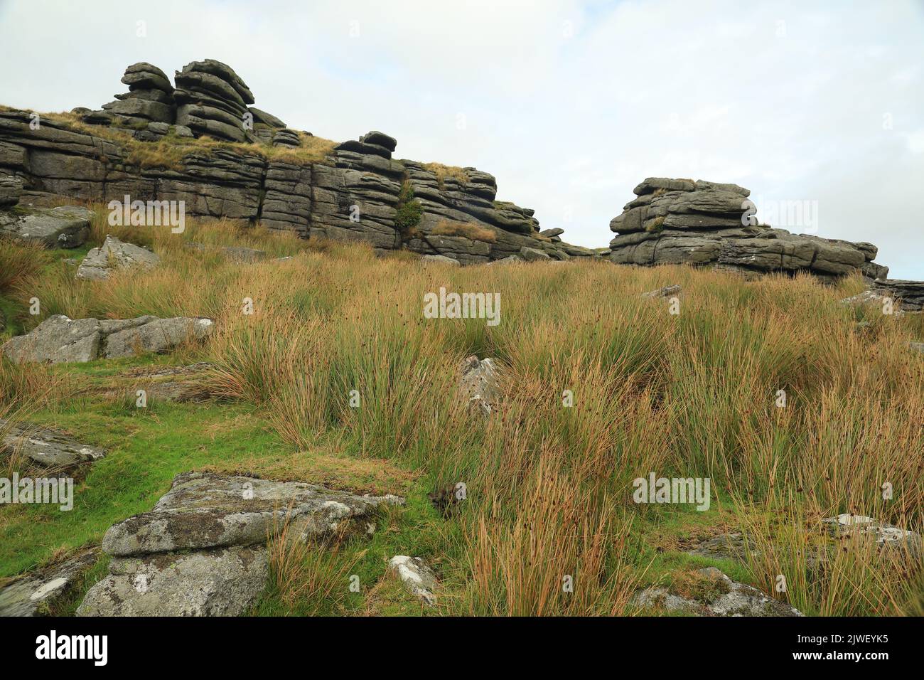 Great Mis tor, Dartmoor, Devon, England, UK Stock Photo - Alamy
