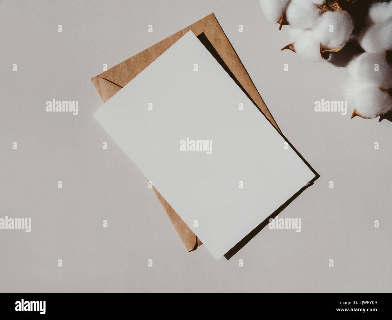 Blank white card, envelope and branch part on light grey background top ...